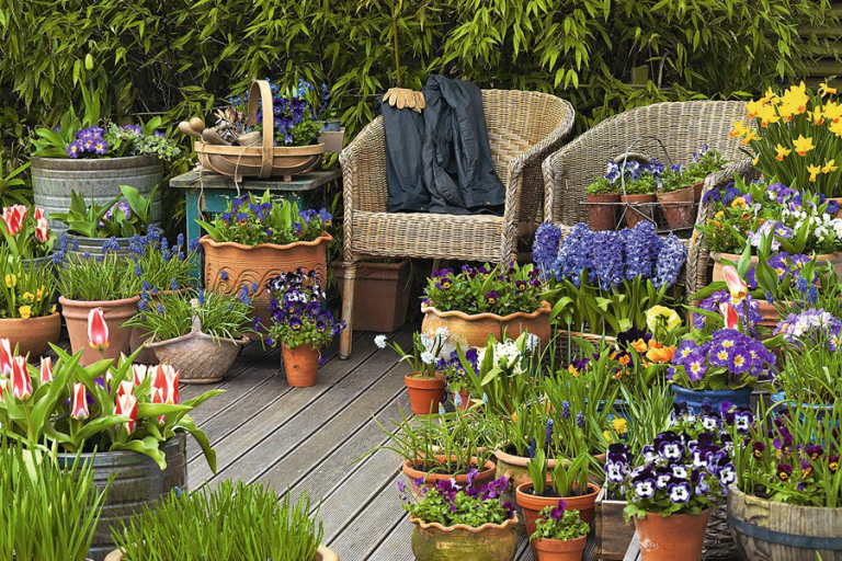 Benefits Of Having Plants On Your Outdoor Space – Room's Decor Tips